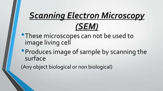 Scanning Electron Microscopy | PPT