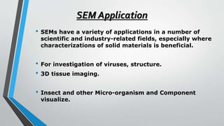 Scanning Electron Microscopy | PPT