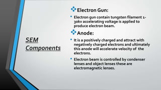 Scanning Electron Microscopy | PPT