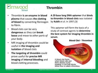Slide Presentation | PPT