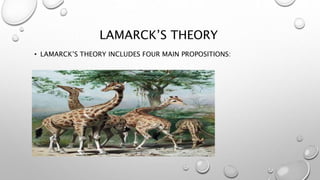 Presentation lamarckism evolution ecology | PPTX