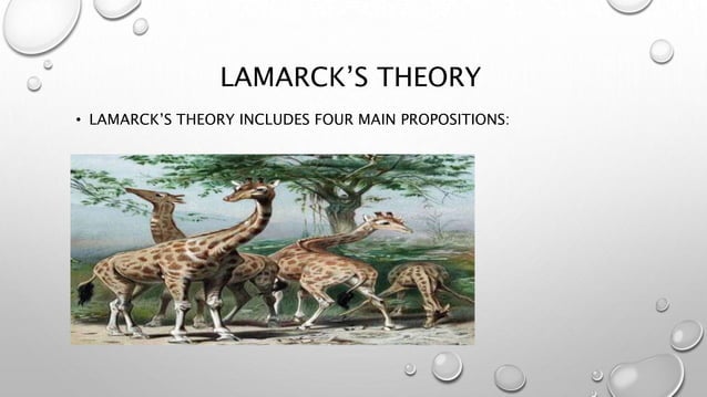 Presentation lamarckism evolution ecology | PPTX | Biological Sciences ...
