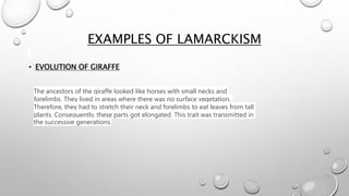 Presentation lamarckism evolution ecology | PPTX