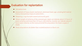 Basics of limb replantation | PPTX