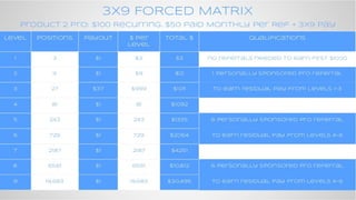 Presentation lead system network | PPT