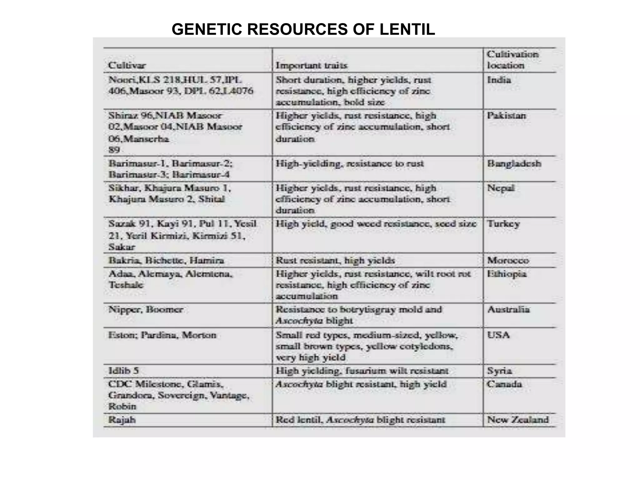 Presentation Lentil.ppt