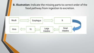 Presentation lesson in science 8 digestive system | PPTX