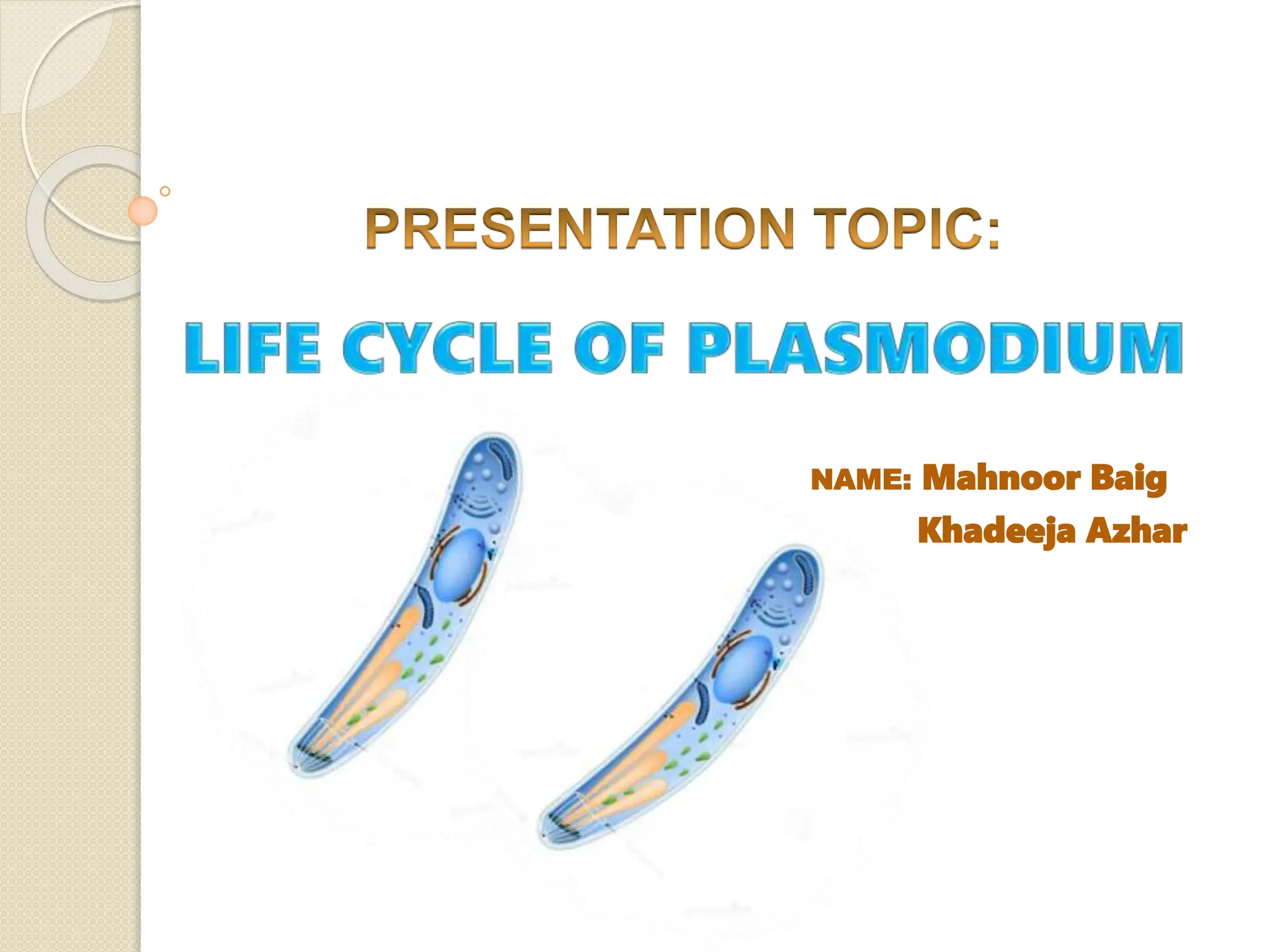 Presentation on The life cycle of plasmodium | PPTX