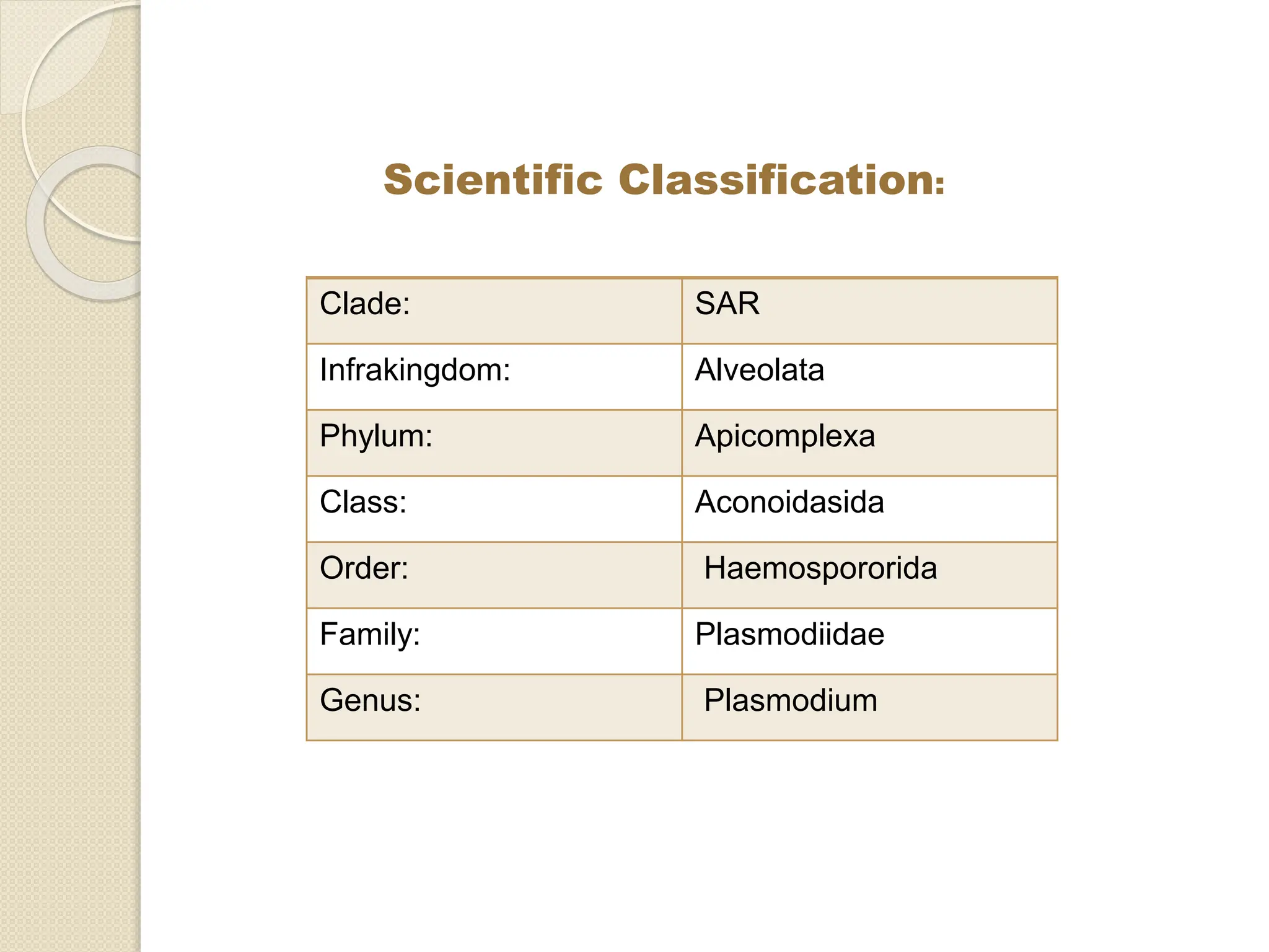 Presentation on The life cycle of plasmodium | PPTX