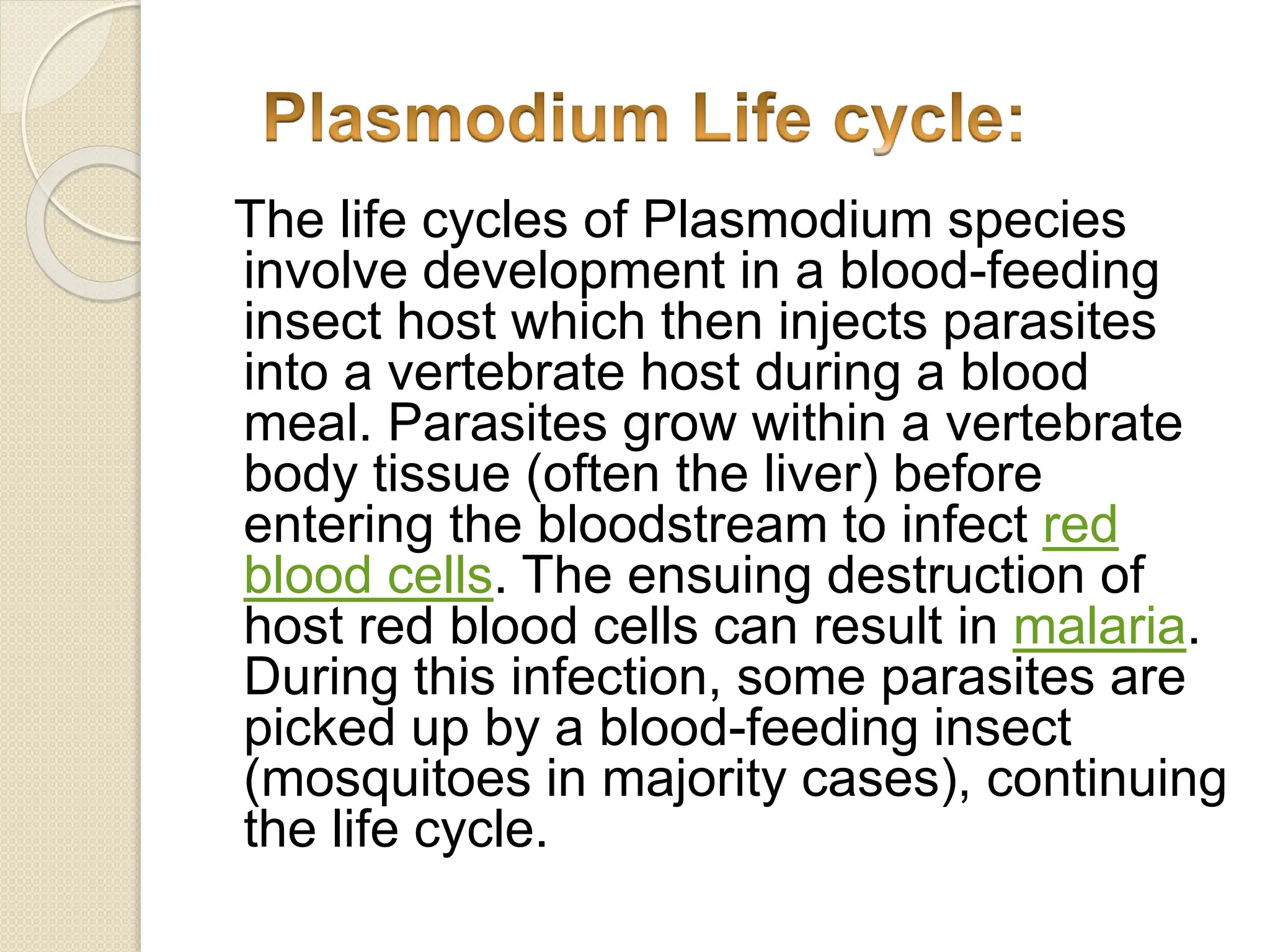 Presentation on The life cycle of plasmodium | PPTX