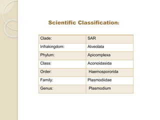Presentation on The life cycle of plasmodium | PPTX
