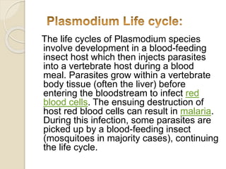 Presentation on The life cycle of plasmodium | PPTX