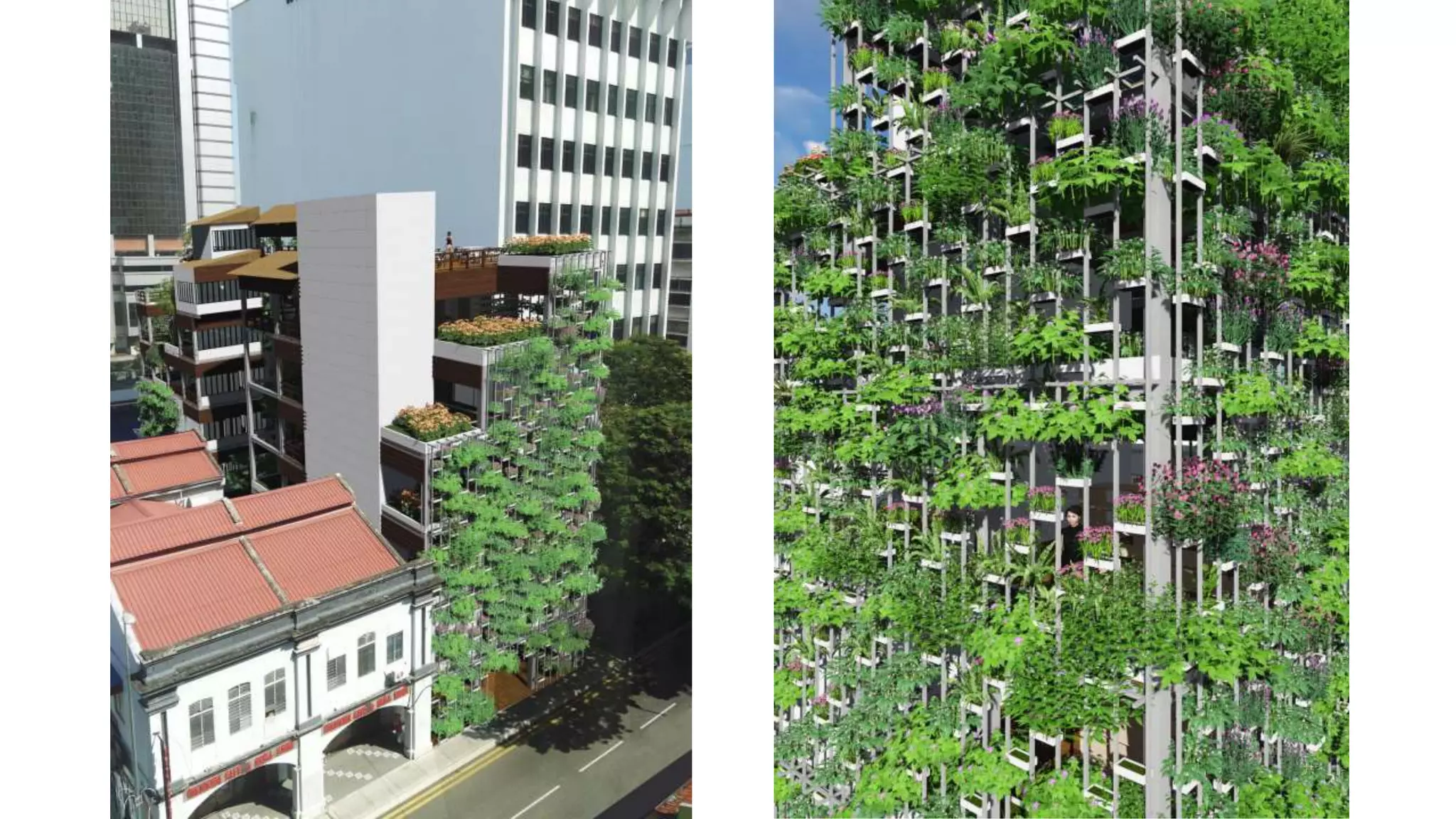 AYDA Final Presentation - Architecture Category | PPTX