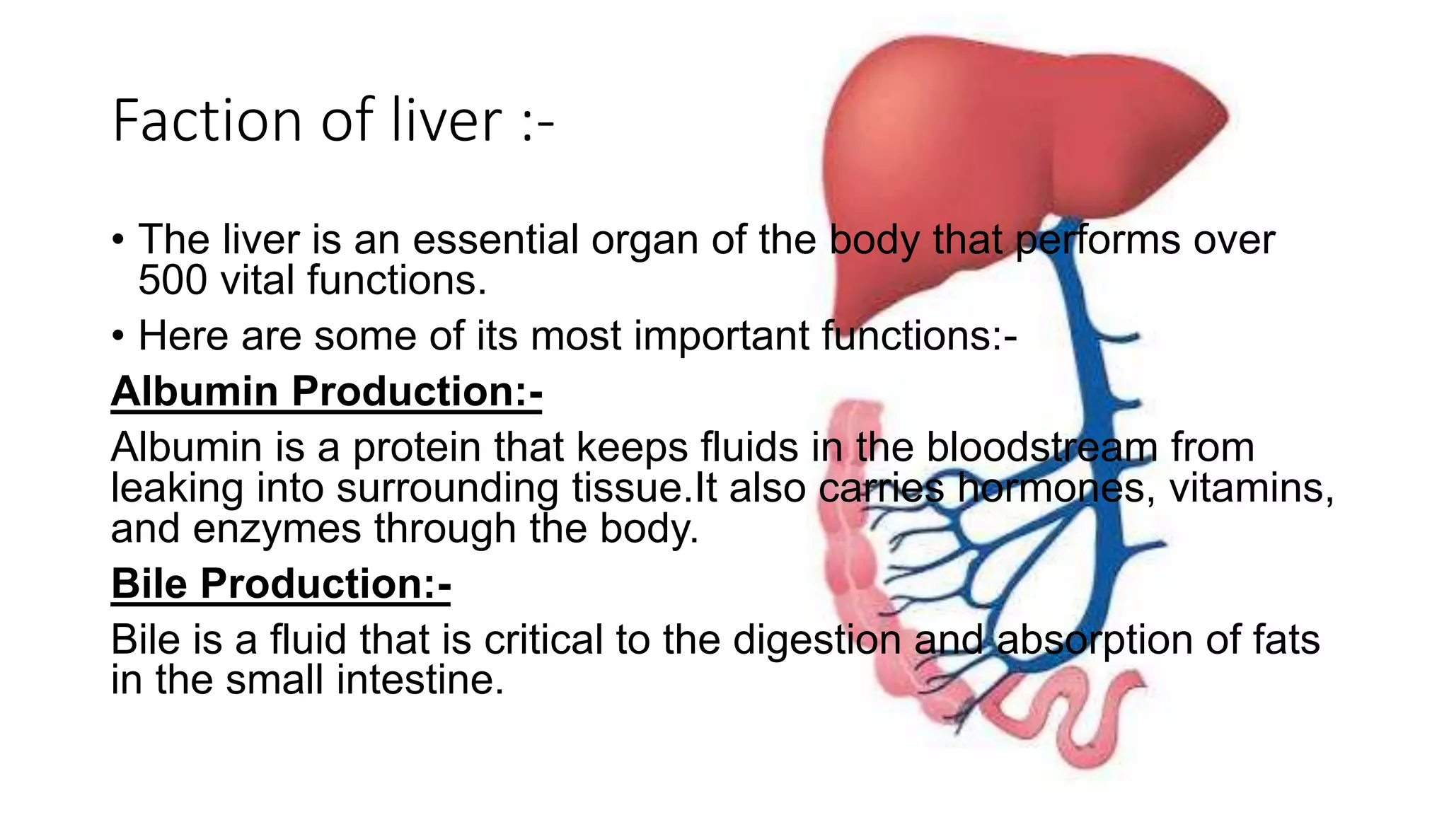 liver and it's anatomy and disease | PPTX