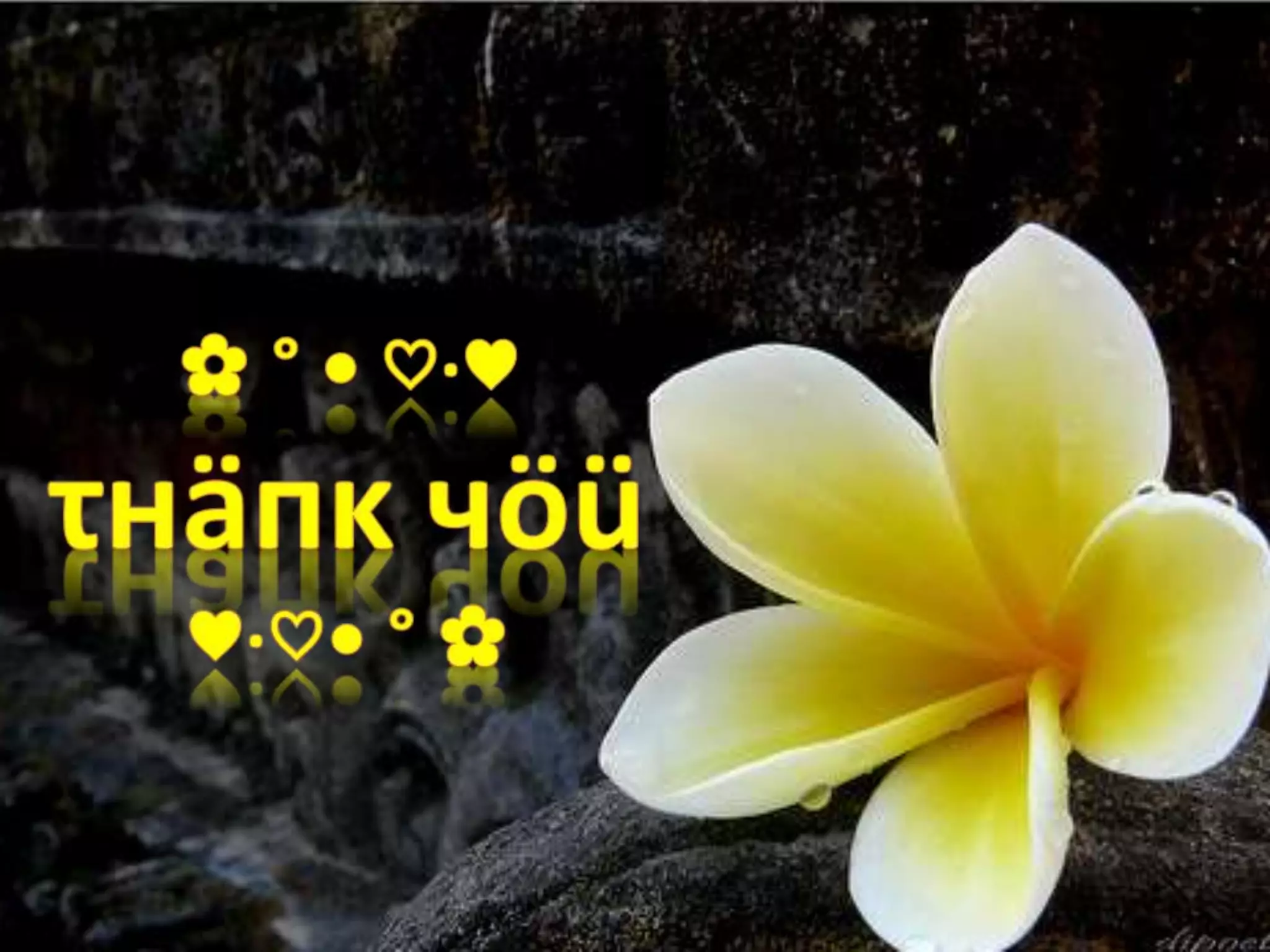 Presentation LKS | PPTX