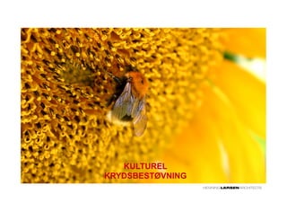 Presentation Louis Becker | PPT