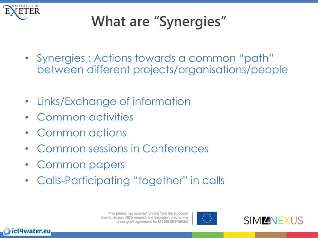 SIM4NEXUS Presentation on Synergies | PDF