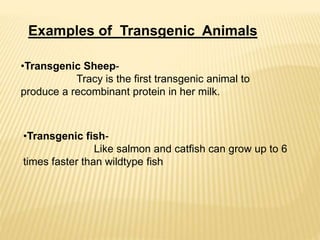 presentation_m.sc_ppt_(transgenic_animals)_1602913203_391831.pptx