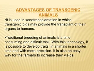 presentation_m.sc_ppt_(transgenic_animals)_1602913203_391831.pptx
