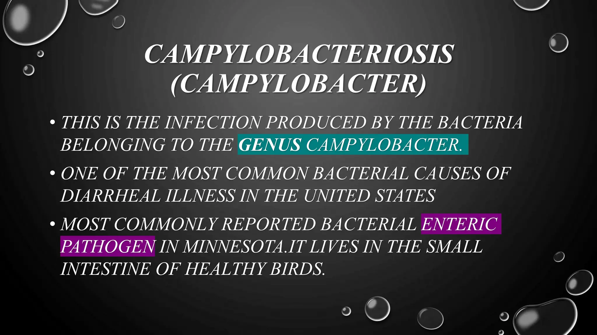 bacterial food borne disease | PPTX