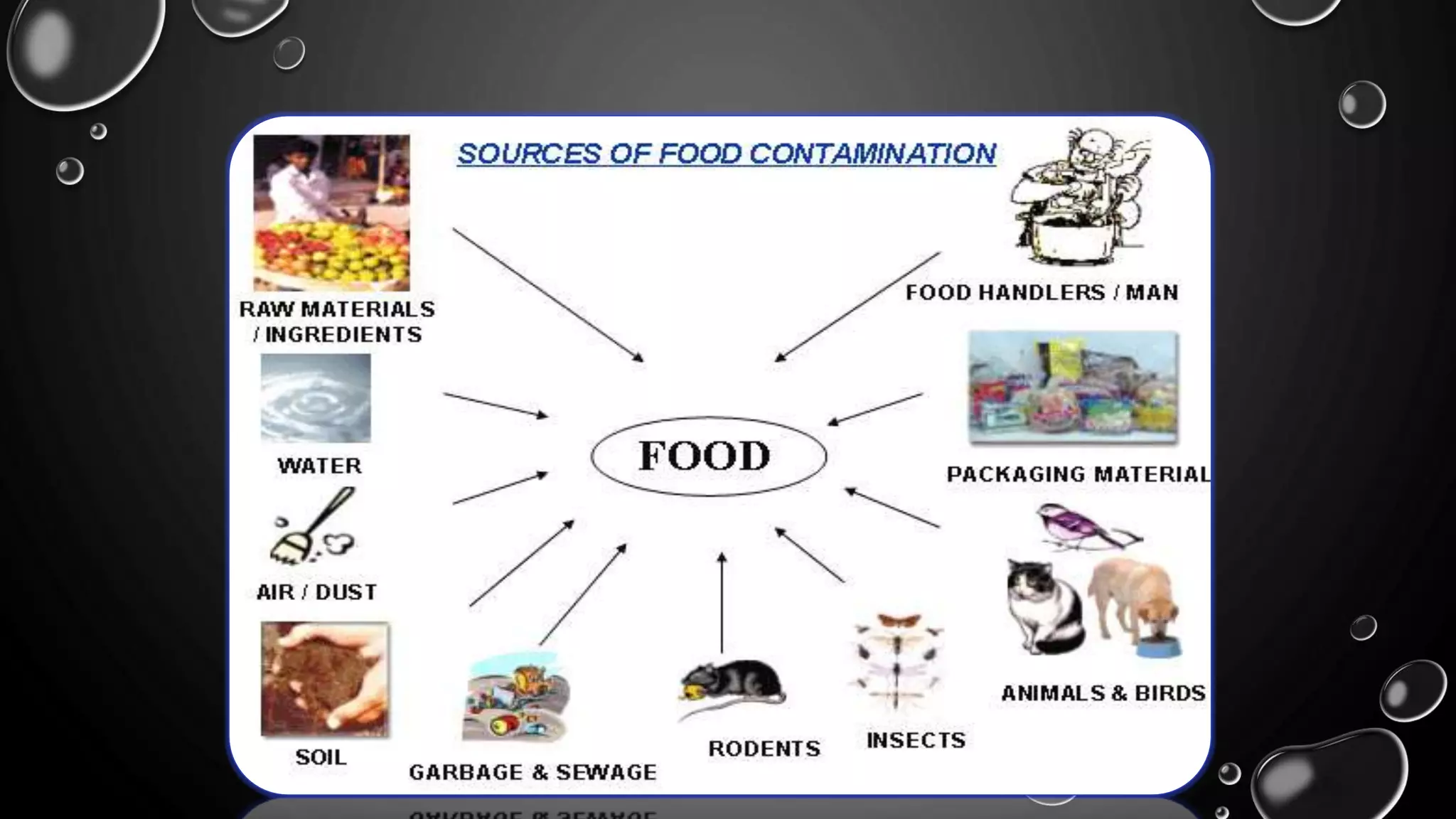 bacterial food borne disease | PPTX
