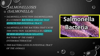 bacterial food borne disease | PPTX | Digestive Disorders | Diseases ...