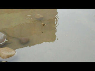 Presentation MAET Reflections | PPT