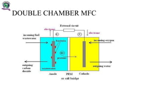 Exploring Microbial fuel cell for waste water management and ...