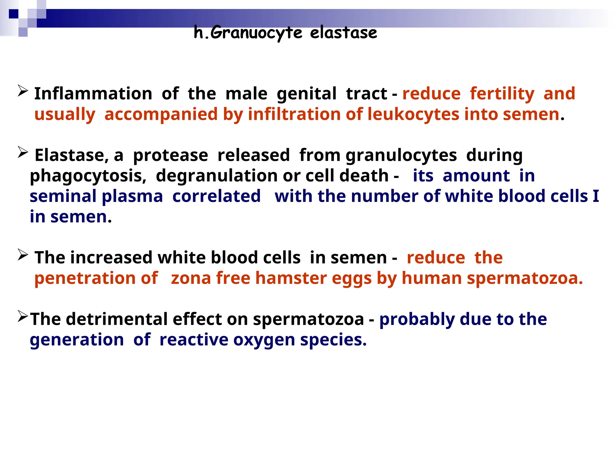 presentation male fertility markers. ppt | PPT