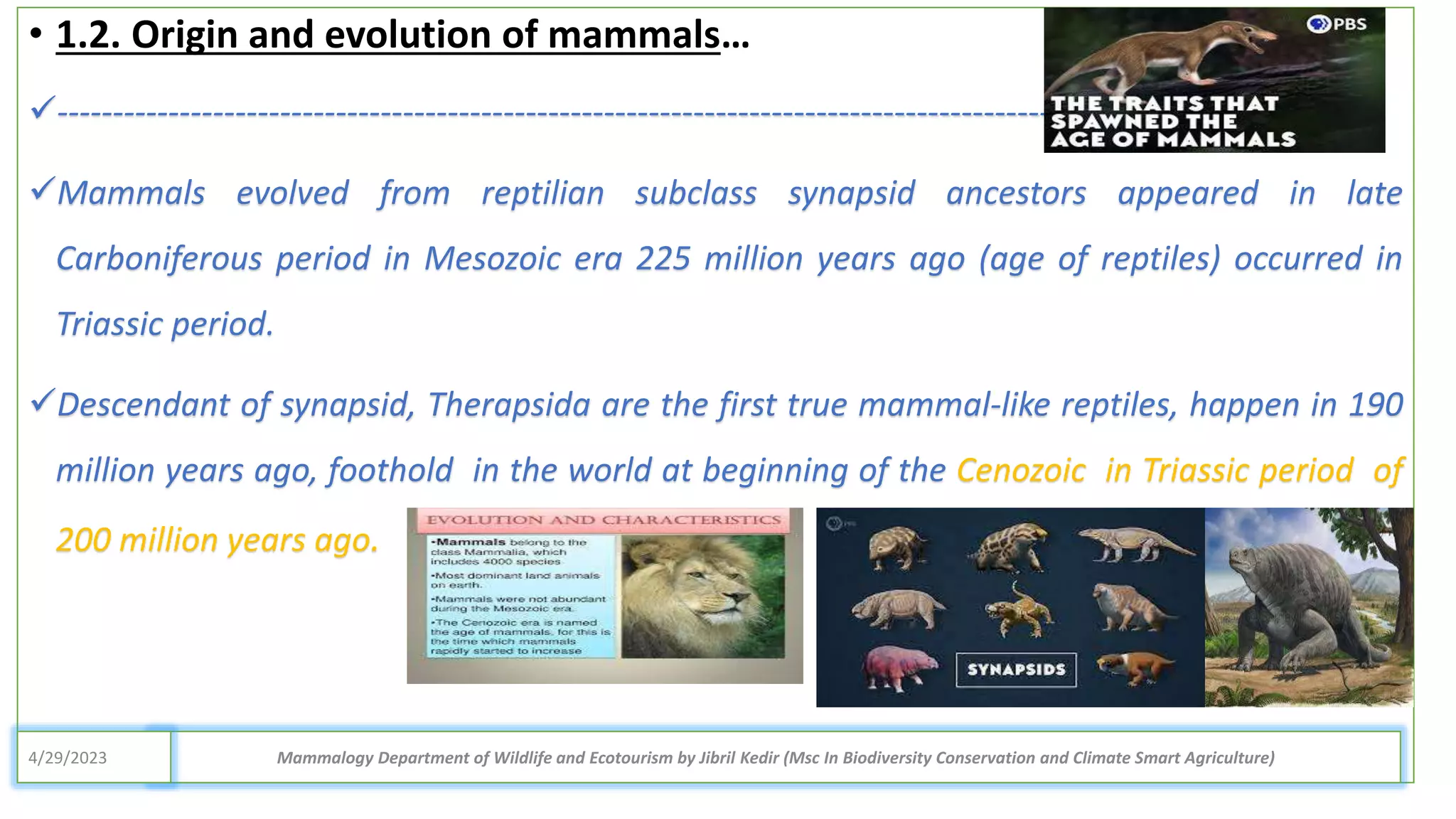 Presentation Mammalogy-2022.pptx