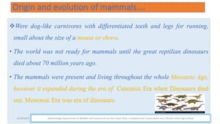 Presentation Mammalogy-2022.pptx