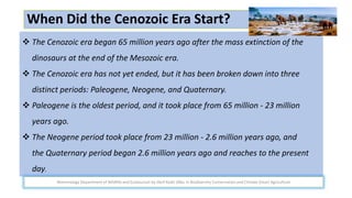 Presentation Mammalogy-2022.pptx