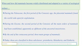 Presentation Mammalogy-2022.pptx
