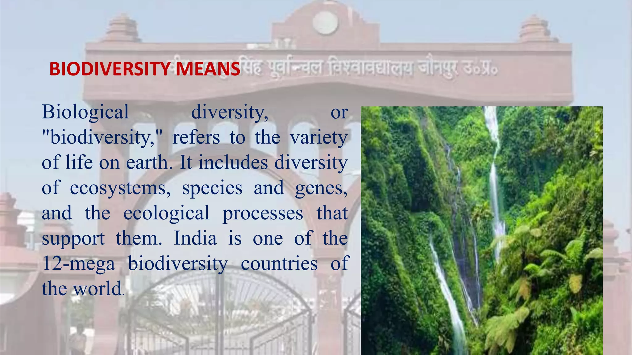 Presentation mani ipr | PPTX