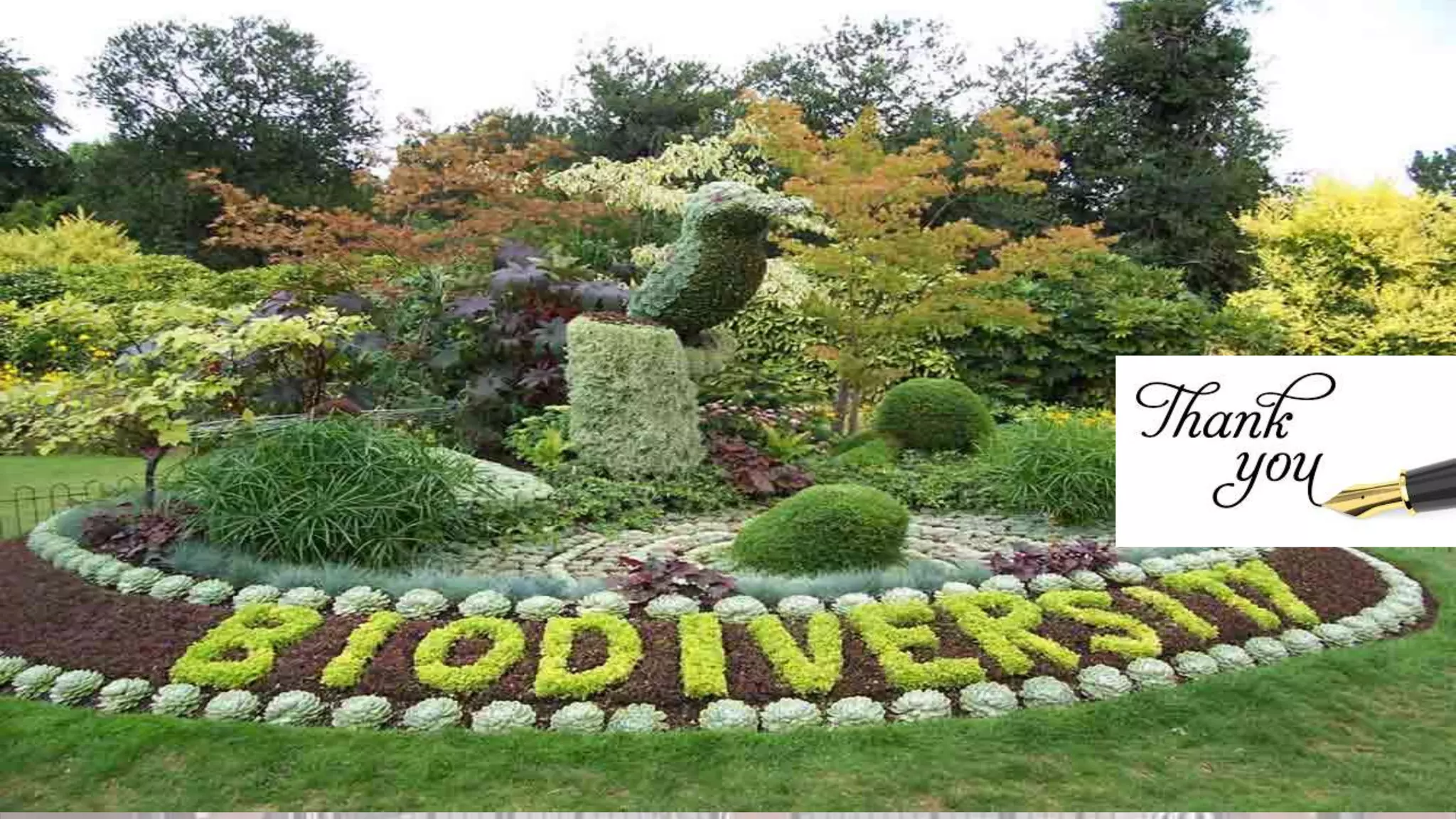 Presentation mani ipr | PPTX