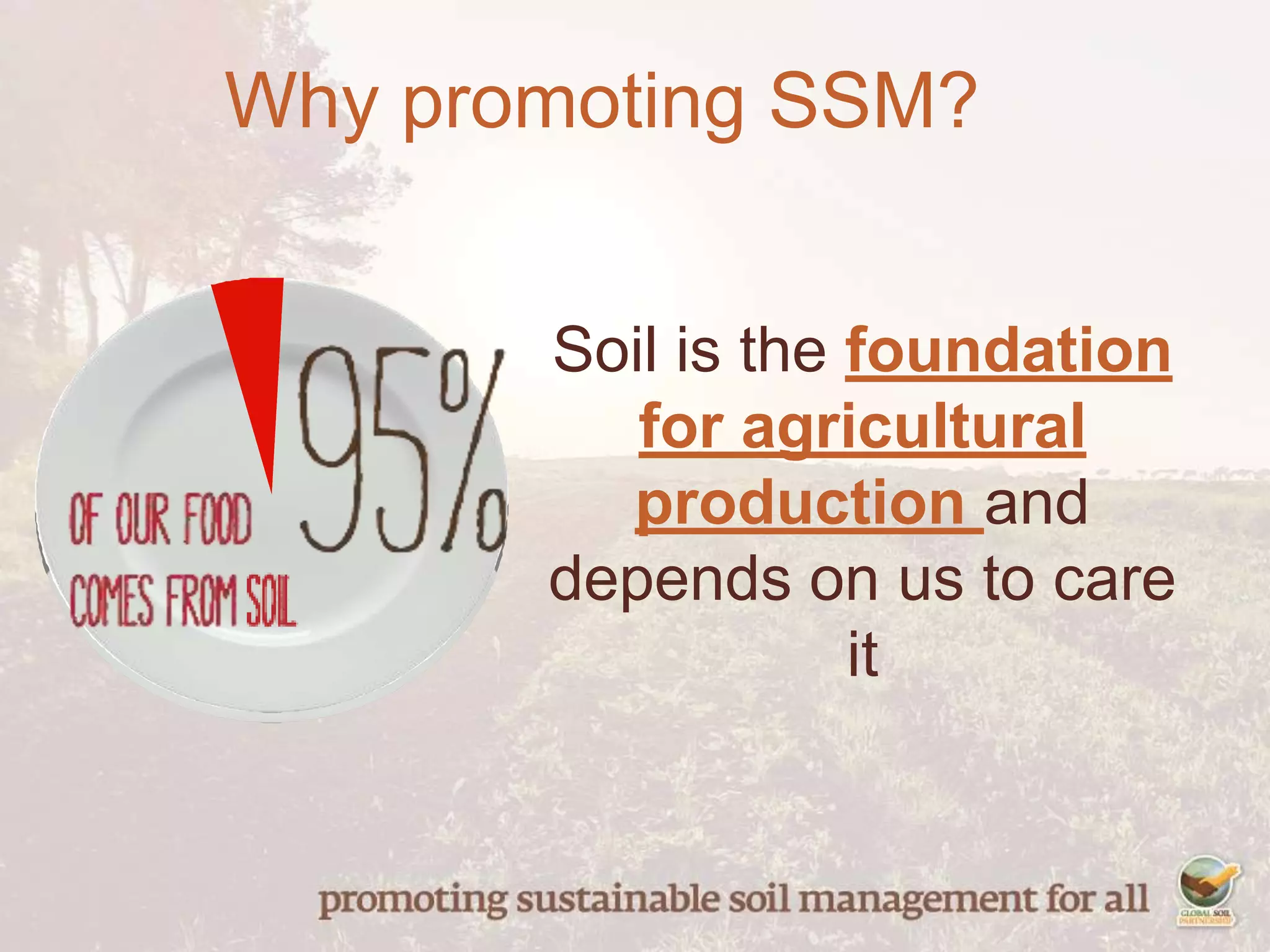 Introduction to the GSP and sustainable soil management - Eduardo ...