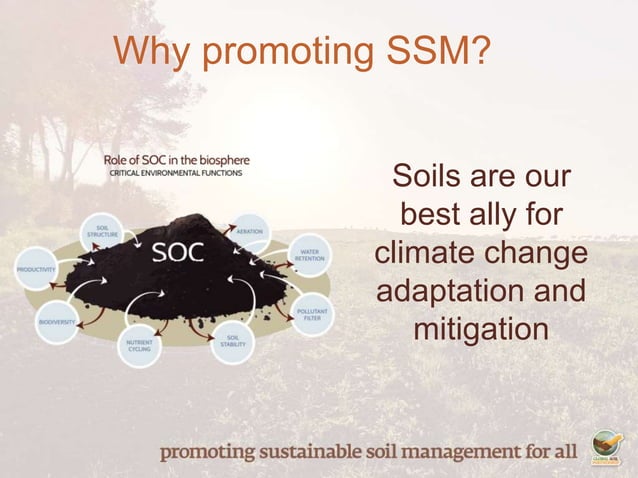 Introduction to the GSP and sustainable soil management - Eduardo ...