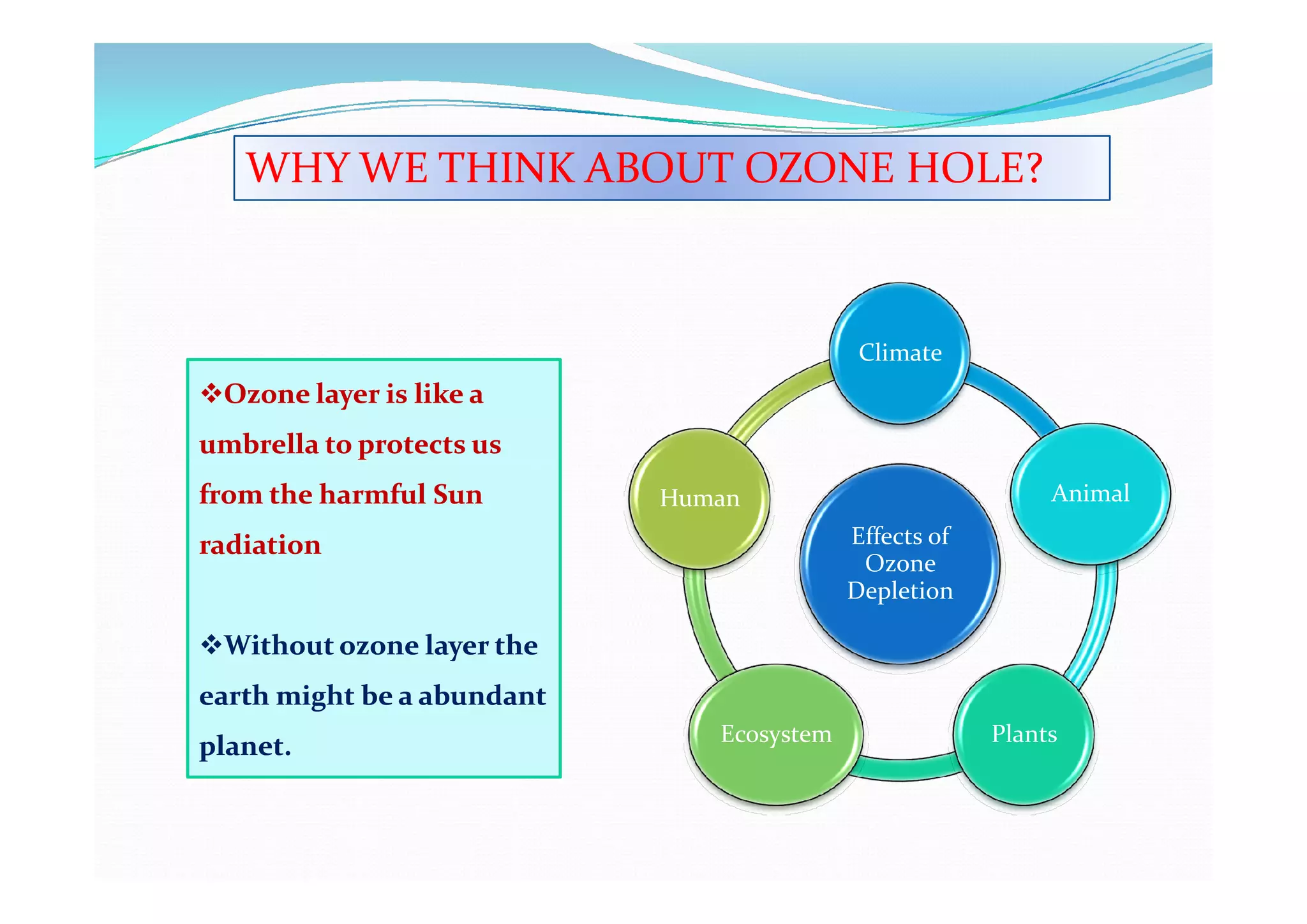 Ozone Layer: Its Depletion and Impacts | PDF