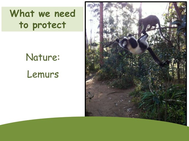 Madagascar Community Development Society -Presentation | PPTX