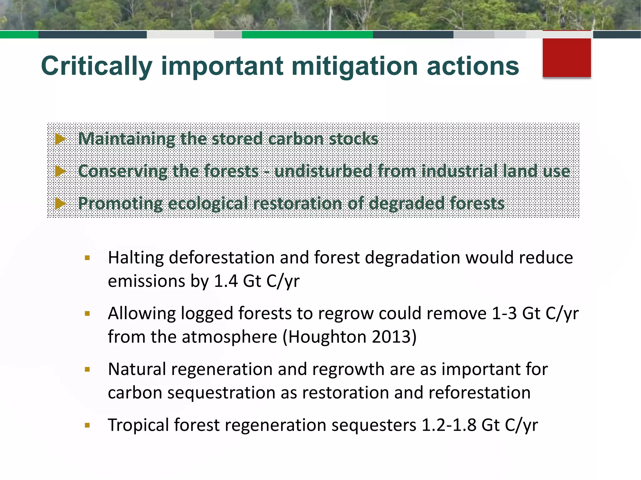 Role of primary forests for climate change mitigation | PPT