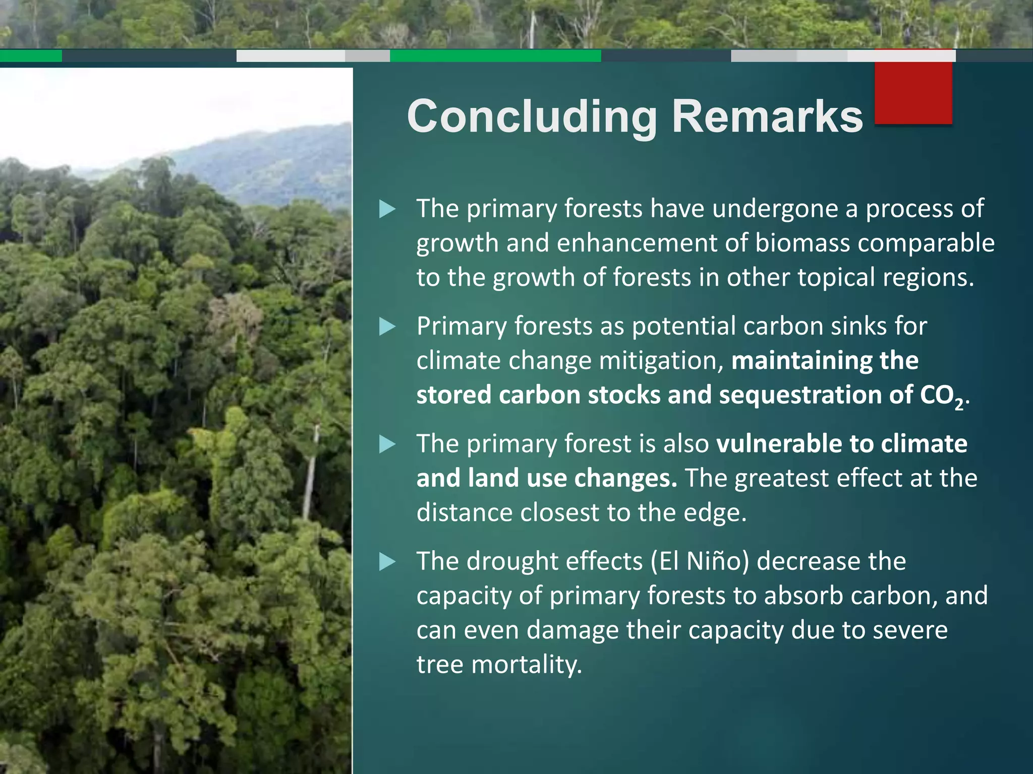 Role of primary forests for climate change mitigation | PPT