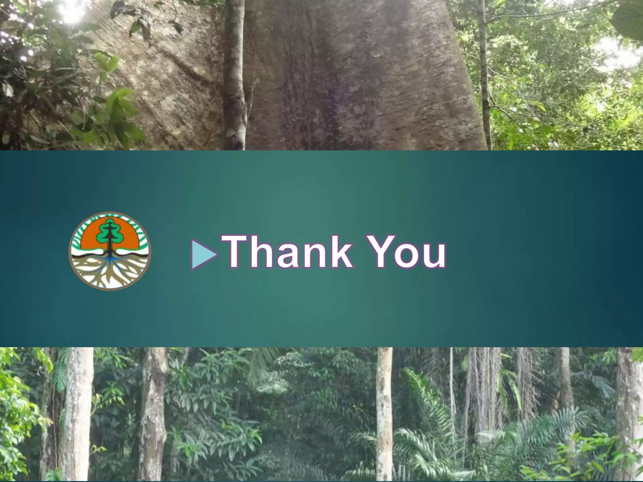 Role of primary forests for climate change mitigation | PPT