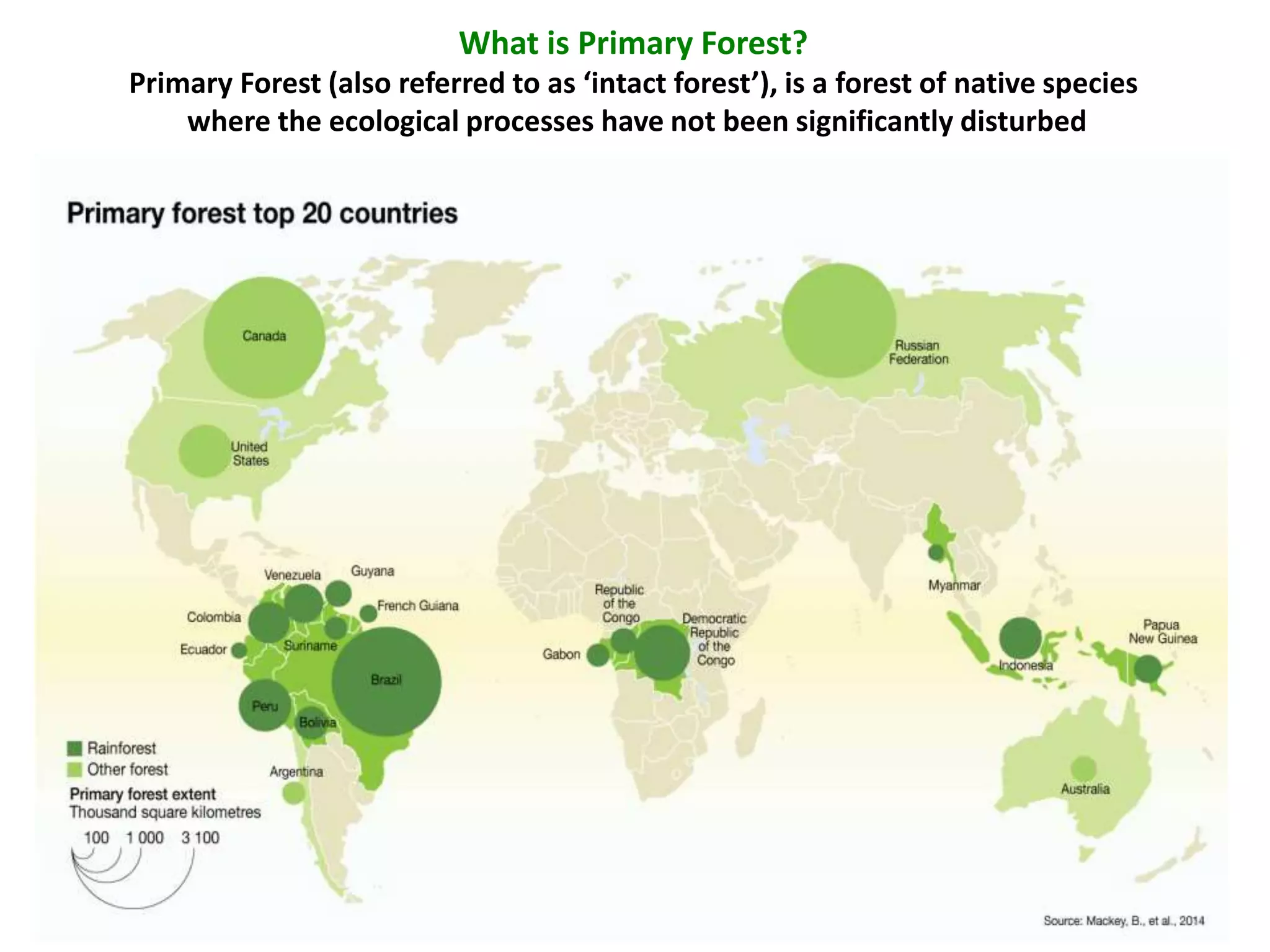 Role of primary forests for climate change mitigation | PPTX