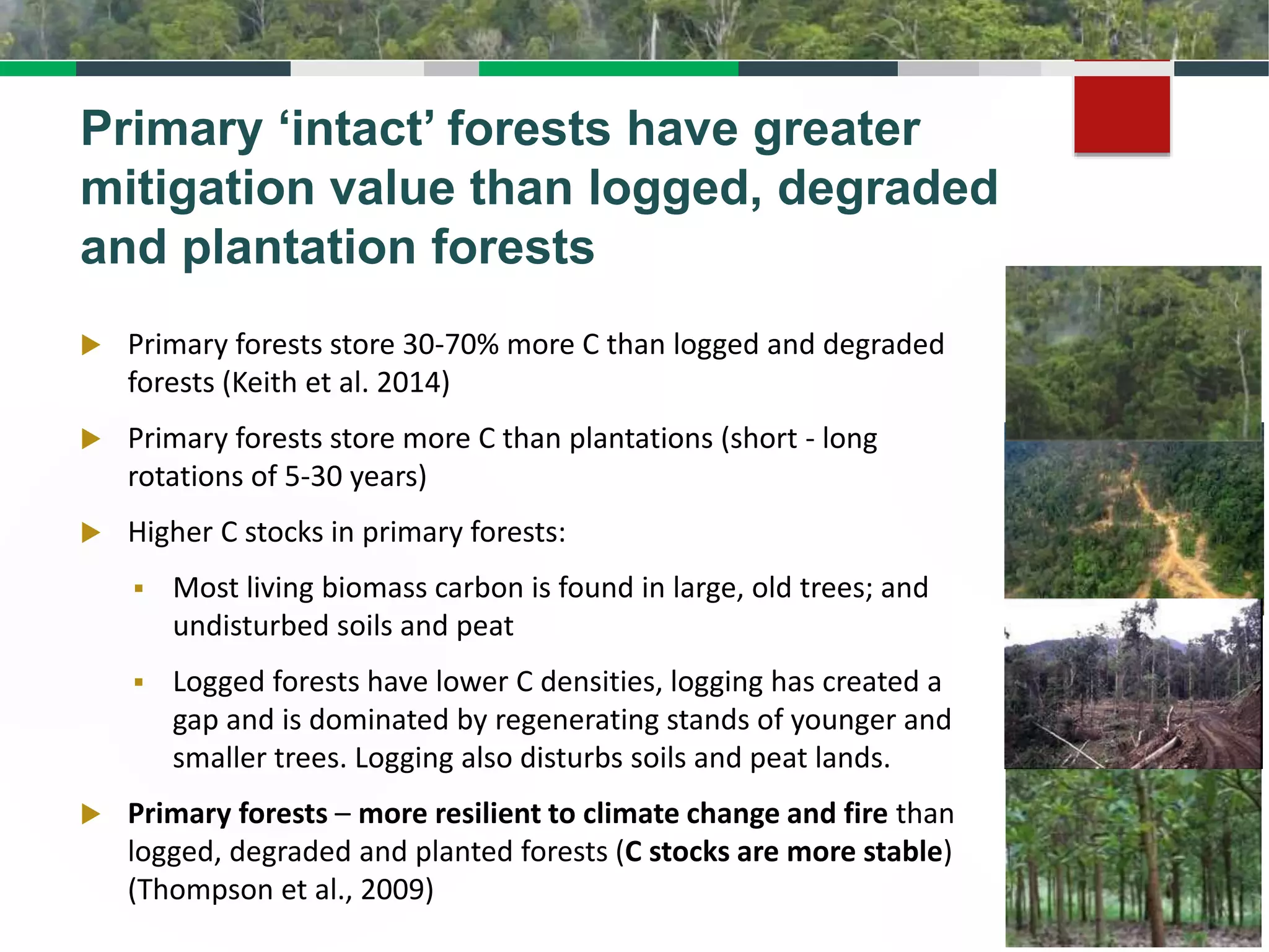 Role of primary forests for climate change mitigation | PPT