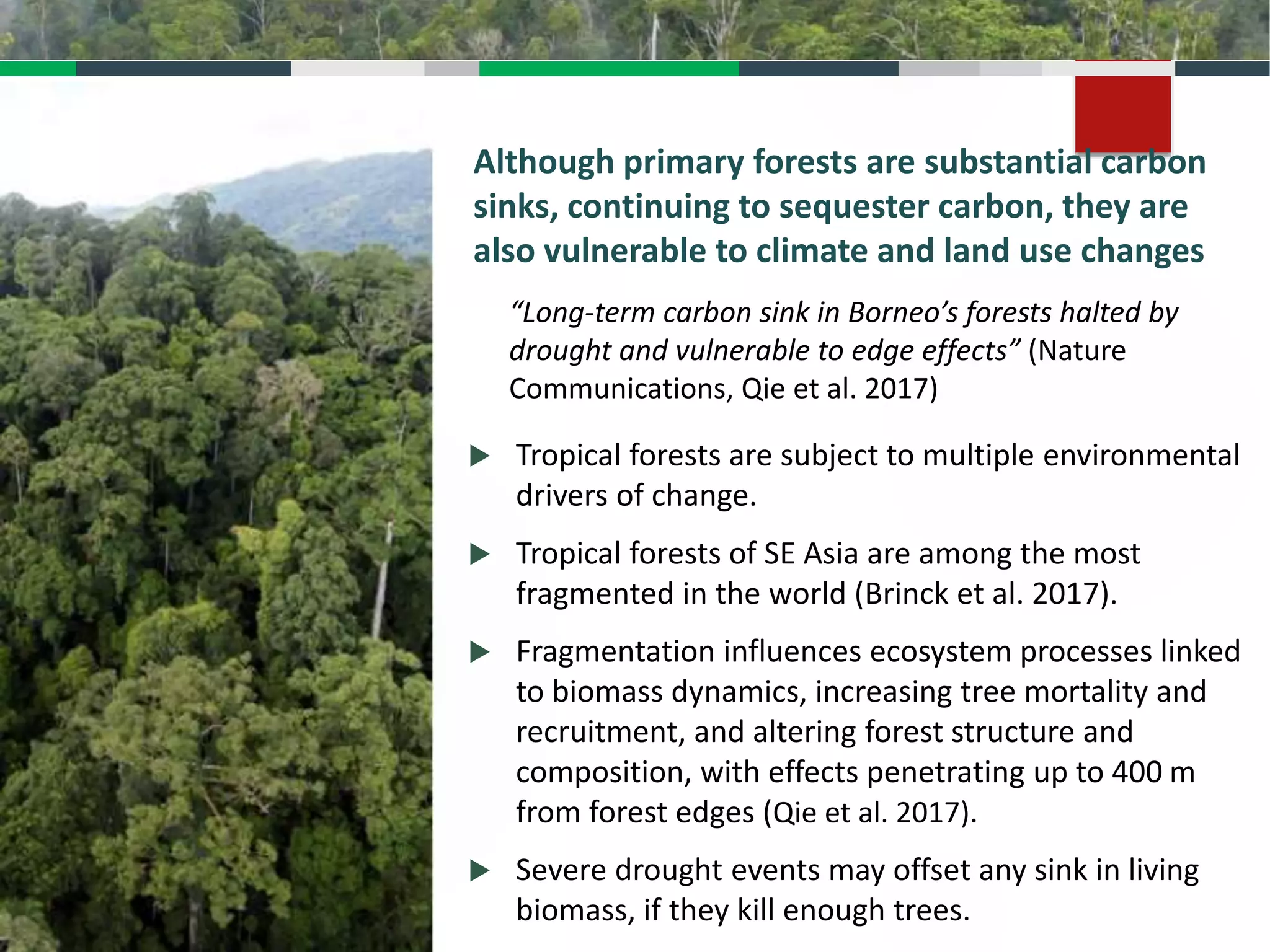 Role of primary forests for climate change mitigation | PPT