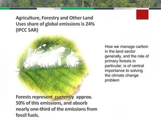 Role of primary forests for climate change mitigation | PPTX