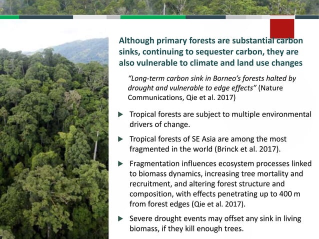 Role of primary forests for climate change mitigation | PPT | Free Download