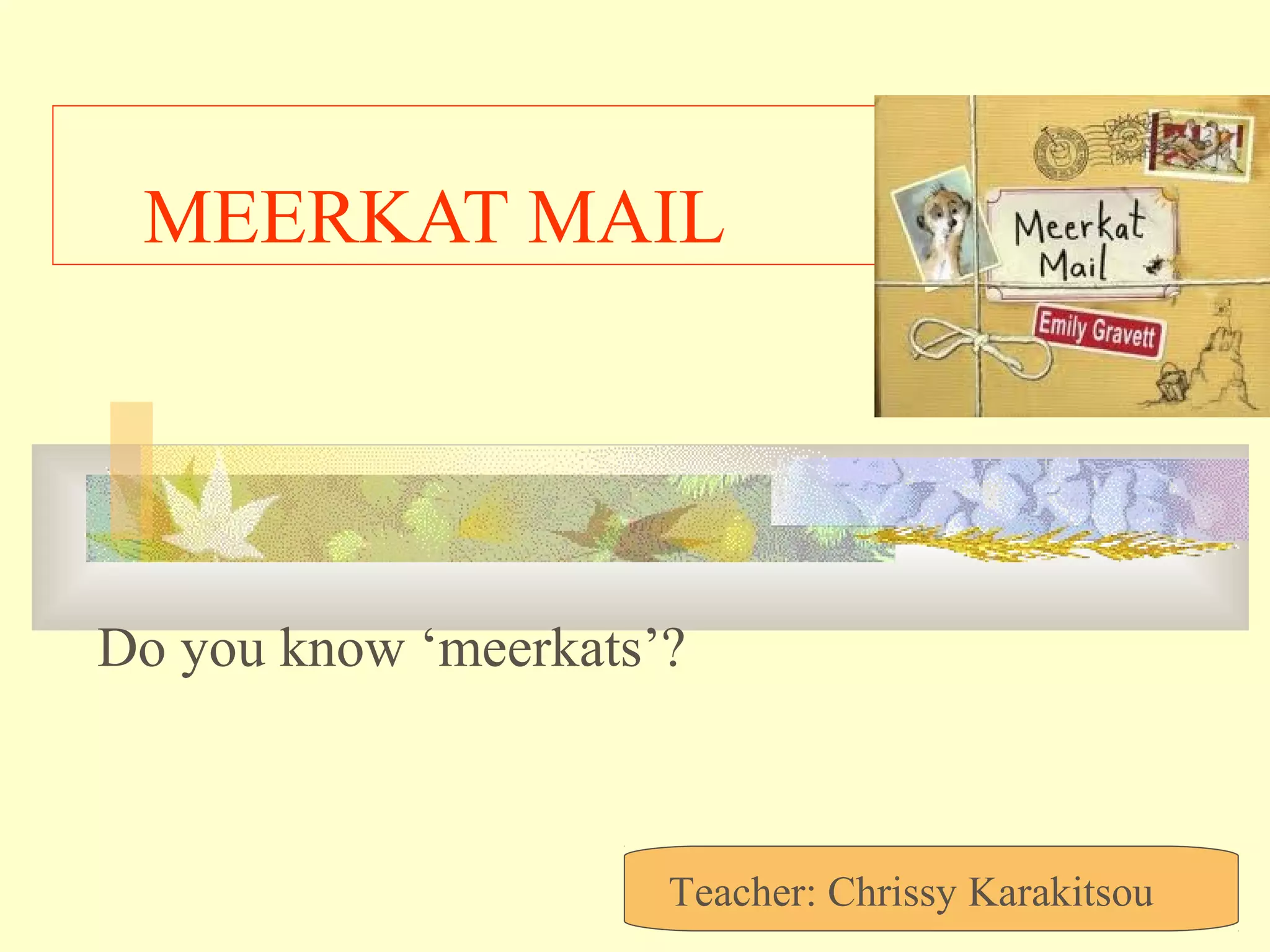 Meerkat Mail | PPT