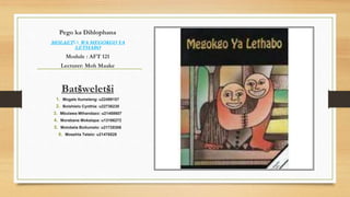 Presentation Megokgo ya Lethabo (1).pptx