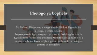 Presentation Megokgo ya Lethabo (1).pptx